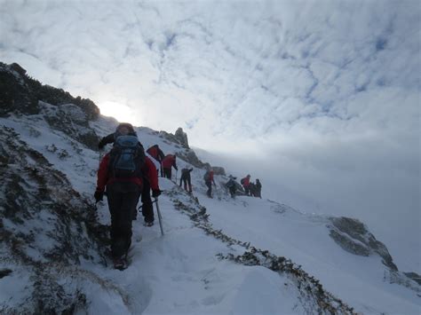 Anterior Approach Hip Replacement Hobart Orthopaedics