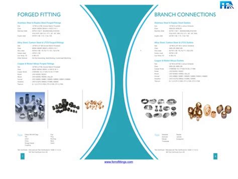 2 Inch Ss Nippolet Branch Connections For Structure Pipe At Rs 132 Kg In Mumbai