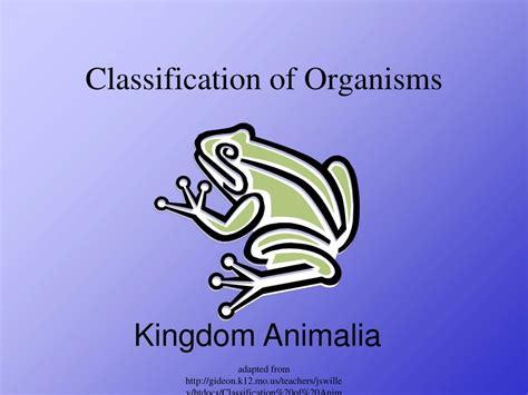 Ppt Classification Of Organisms Powerpoint Presentation Free