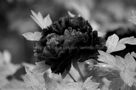 Opencv——rgb三通道分离 Csdn博客 Opencv——rgb三通道分离 Csdn博客