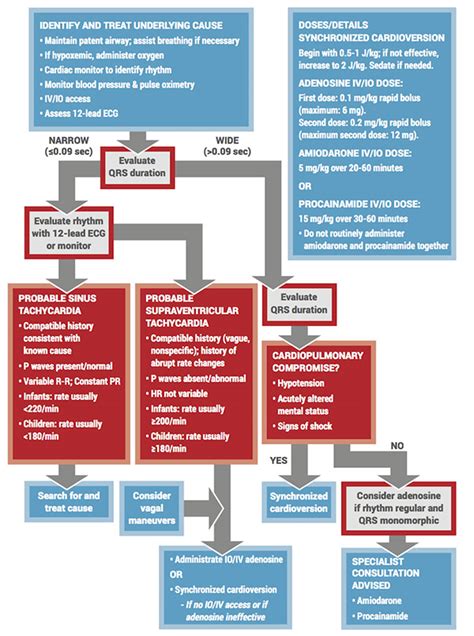 Pals Tachycardia Poor Perfusion Algorithm Acls Medical