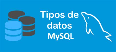 Tipos de datos en la base de datos MySQL Código Lite