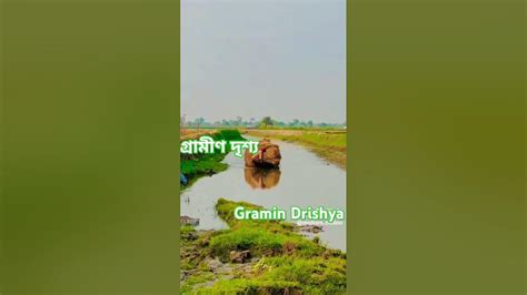 গ্রাম বাংলার দৃশ্য Viralshort Youtube
