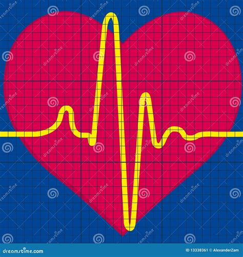 Cardiogram Vector Illustratie Illustration Of Spoor 13338361