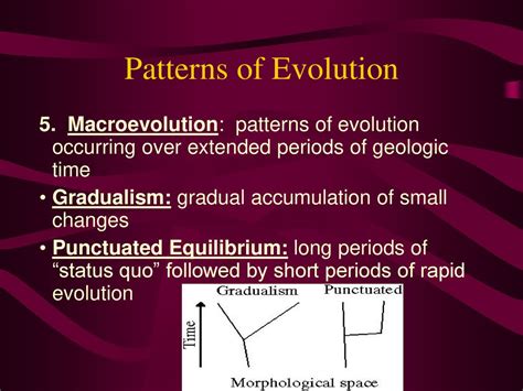 Evolution Ppt Download
