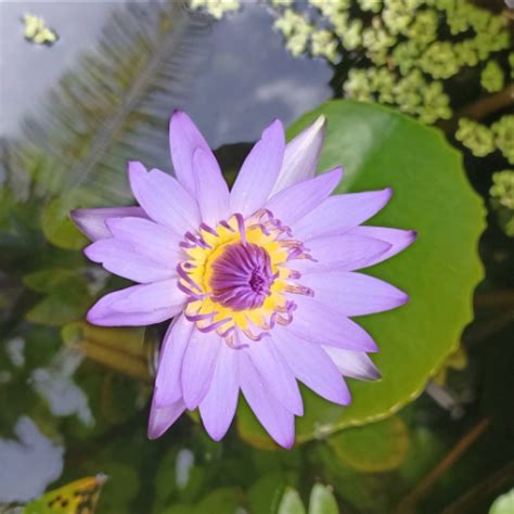 Teni Irawan Teni Stockbit Investasi Saham Bersama Komunitas Saham Terbesar Di Indonesia