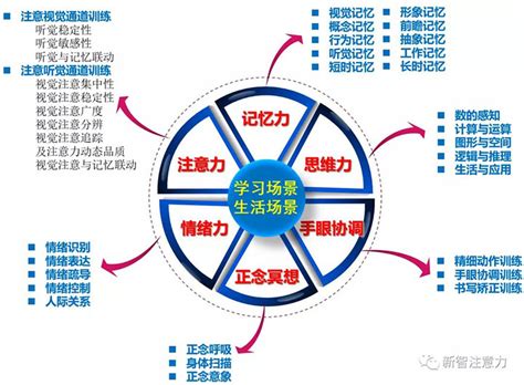 充分利用脑电训练效果进行认知迁移 认知能力评估训练 注意力测评训练 心理测评 北京视友科技有限责任公司