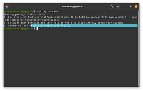 problems with sudo apt update r ubuntu