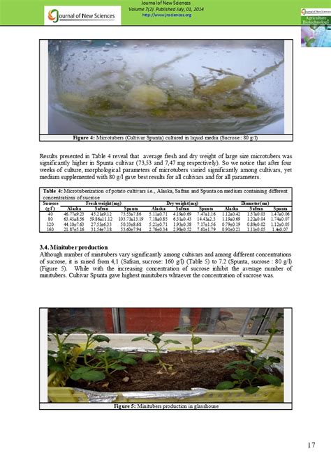 Shoot Regeneration Micropropagation And Microtuberization Of Potato Solanum Tuberosum L