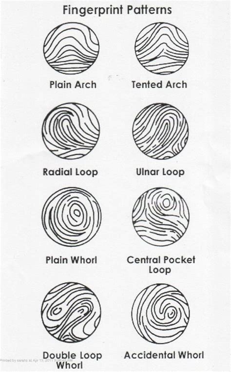 Fingerprint Patterns Forensic Science Fingerprint Forensics