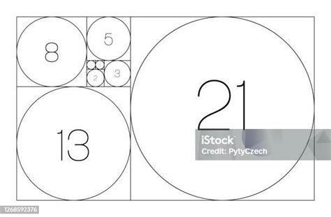 원형의 피보나치 시퀀스 황금 비율 기하학적 개념 벡터 일러스트레이션 단면도에 대한 스톡 벡터 아트 및 기타 이미지 단면도