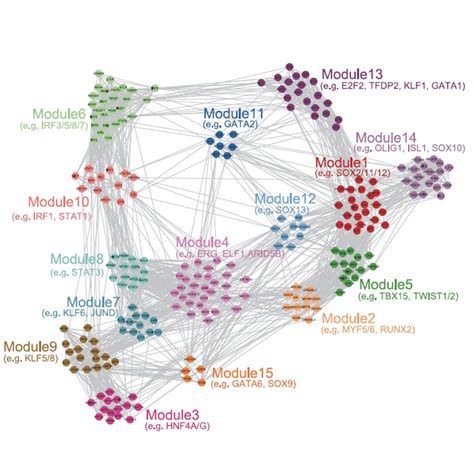 Speed Single Cell Pan Species Atlas In The Light Of Ecology And Evolution For Development And