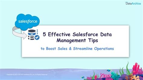 Ppt 5 Effective Salesforce Data Management Tips To Boost Sales