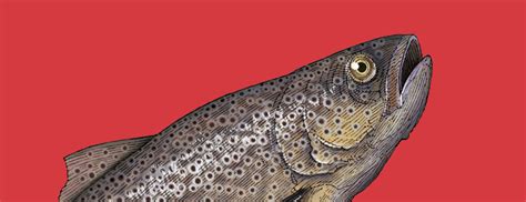 Case Study A Scalable Sql Database Powers Real Time Analytics At Uber