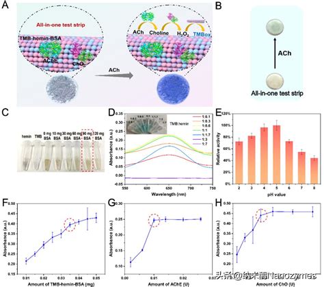 Intelligent Machine Assisted Biological Enzyme Nanozyme Chromogenic
