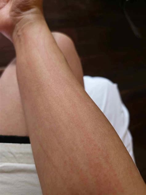 អតិថិជនខកបំណងនឹង Koh Russey Resort ដល់ថ្នាក់លំដាប់ផ្កាយ៥ គ្មានទទួលខុសត្រូវជាមួយភ្ញៀវ នគរដ្រេហ្គន