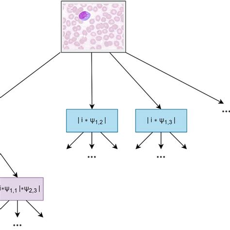Decomposition Of A Peripheral Blood Smear Image Using Second‐order