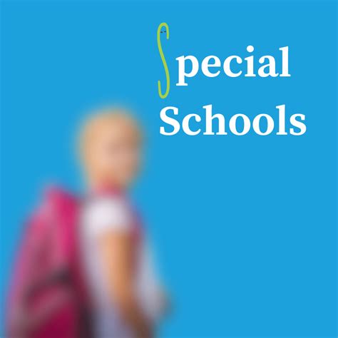 Mash Class Level Special Schools