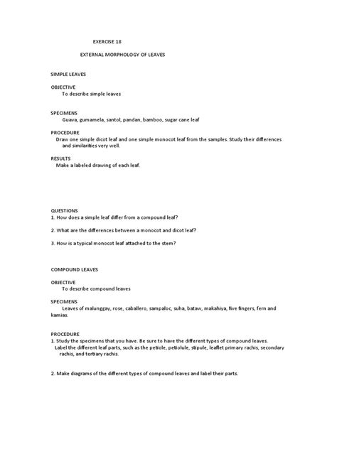 Exercise 18 Botany Lab Pdf Leaf Botany