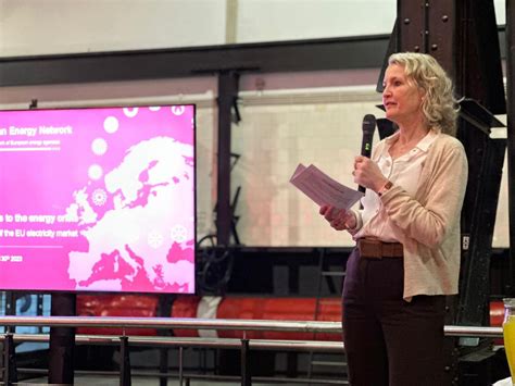 Dinner Debate With Dg Ener In Lisbon European Energy Network