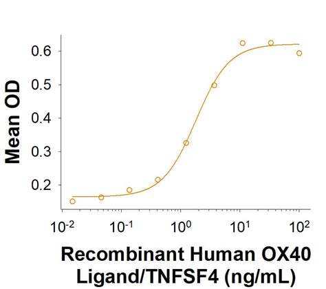 Recombinant Human Ox40 Ligandtnfsf4 His Tag Protein Cf 11241 Ox 050