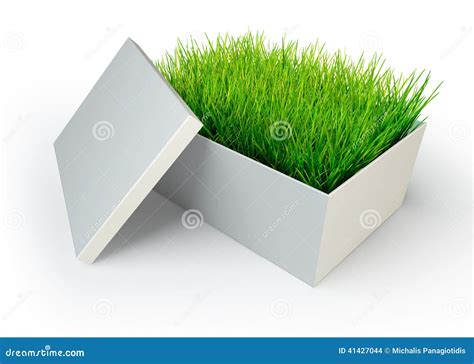 Green Grass Box Stock Illustrations 2609 Green Grass Box Stock
