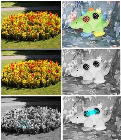 figure 4 from detection of region duplication forgery in digital images using surf semantic