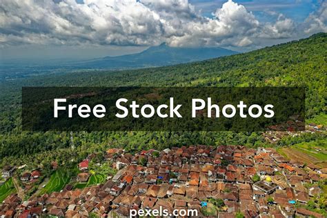 Equatorial Region Forest Photos Download The Best Free Equatorial
