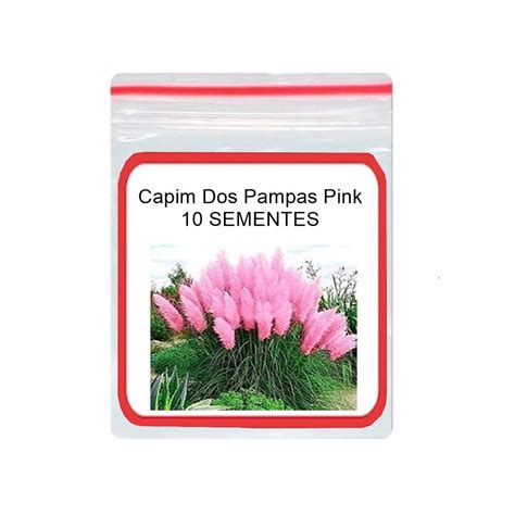 Capim Dos Pampas Pink Grass Pluma Cortaderia Rosa 10 Sementes Shopee Brasil