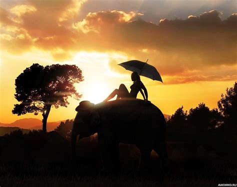 Силуэт слона с девушкой под зонтиком на спине — Фотографии для аватара