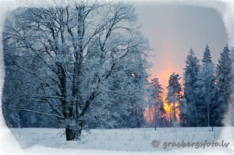 Latvijas Daba Un Ainavas Kāzu Fotogrāfs Indars Grasbergs