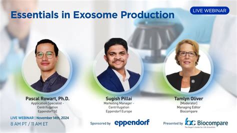 Optimizing Exosome Workflows Requires A Closer Look At Key Methods For Reliable Production And