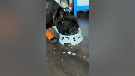 После капельницы Youtube