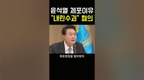 윤석열 체포이유 내린수괴 윤석열 김건희 명태균 박근혜 유재석 이명박 노무현 문재인 국민의힘 더불어민주당 조국 한동훈 한덕수 권성동 이재명