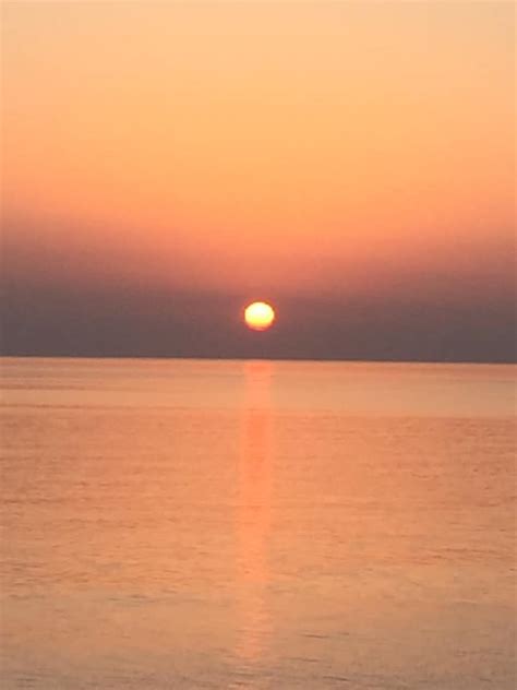 რესტორანი პალმა ქობულეთი • Palma Restaurant Kobuleti Home Facebook