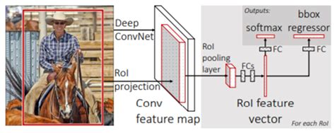 Object Detection Using Rcnn Fast Rcnn Faster Rcnn Masked Rcnn By Amit Kumar Medium