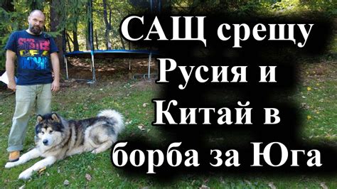 Байдън иска разширяване на съвета за сигурност на ООН 22 09 2024 г Youtube