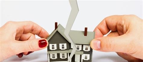 Договір про поділ майна подружжя МОГОЛ АЛЬФА