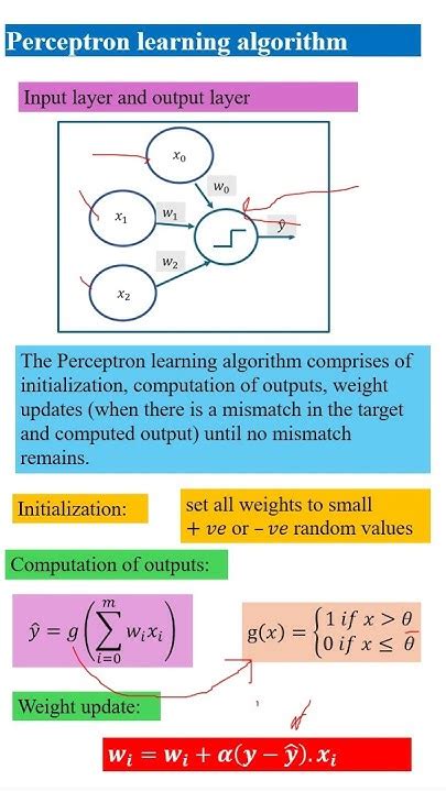 Perceptron Learning Algorithm Classification Machinelearning