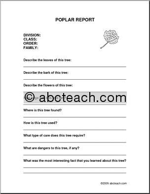 Report Form Tree Poplar Abcteach Report Form Tree Poplar Abcteach
