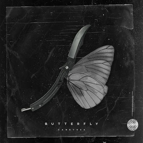 Butterfly Youtube Music