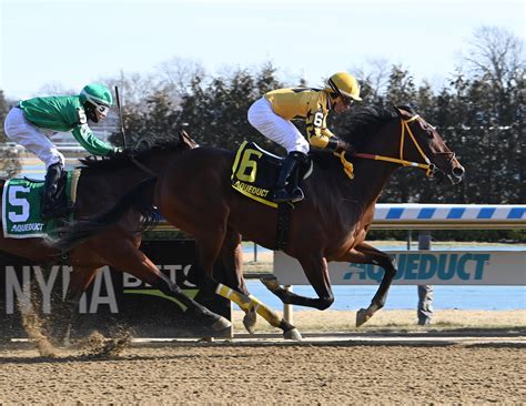 Wood Memorial Stakes Cheat Sheet Americas Best Racing