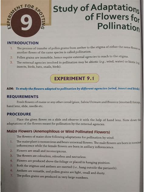 Spotting Experiment Class 12 Pdf