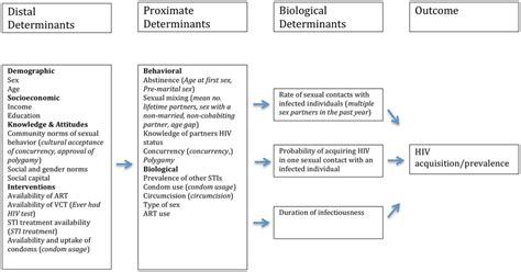 Conceptual Framework For Understanding The Determinants Of Hiv