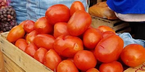 Santa Cruz El Precio Del Kilo De Tomate Pasó De Bs 6 A Bs 17 Y