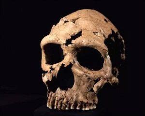 Face Of Neanderthal Woman Found In Iraqi Kurdistan Reconstructed
