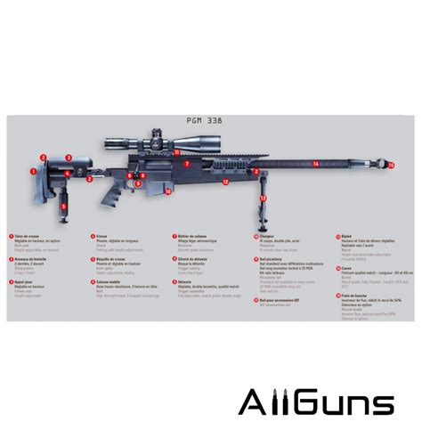 Pgm 338 338 Lapua Magnum 272 Avec Silencieux