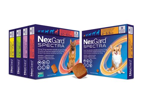 Nexgard Spectra™ Becomes The Only Product Licensed To Prevent Lungworm And Kill Ticks
