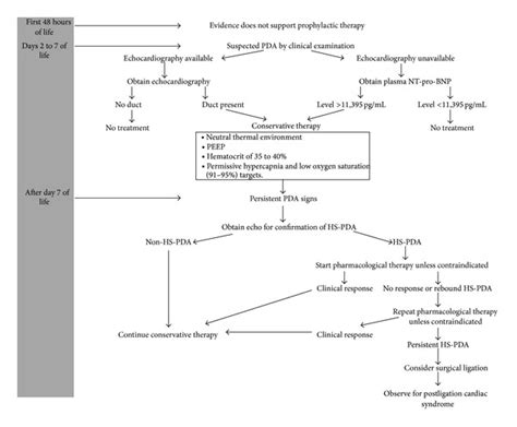 Suggested Timeline Approach For Management Of Pda In Preterm Infants Download Scientific