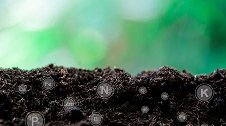 Inorganic Ions Metal Elements In Soil SHIMADZU Shimadzu Corporation